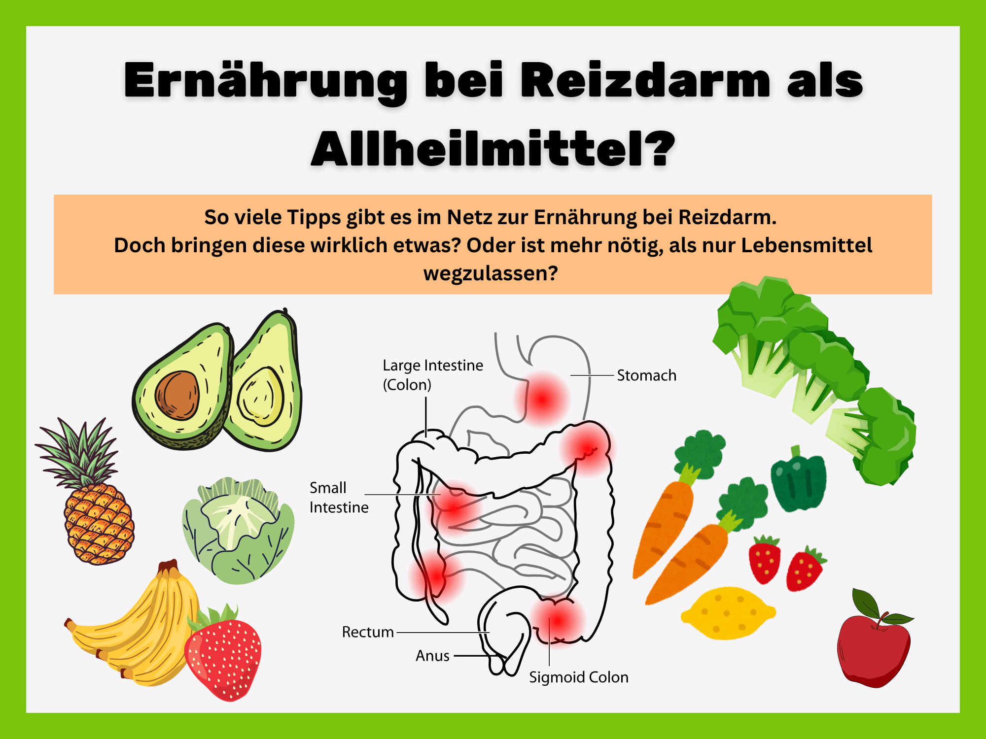 Ernährung bei Reizdarm: Symptom- oder Ursachenbehandlung? - anjas-weg.de